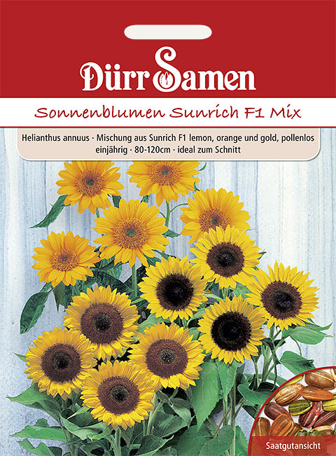Sonnenblume 'Sunrich F1 Mix', lemon, orange und gold, einjährig, 80 ...